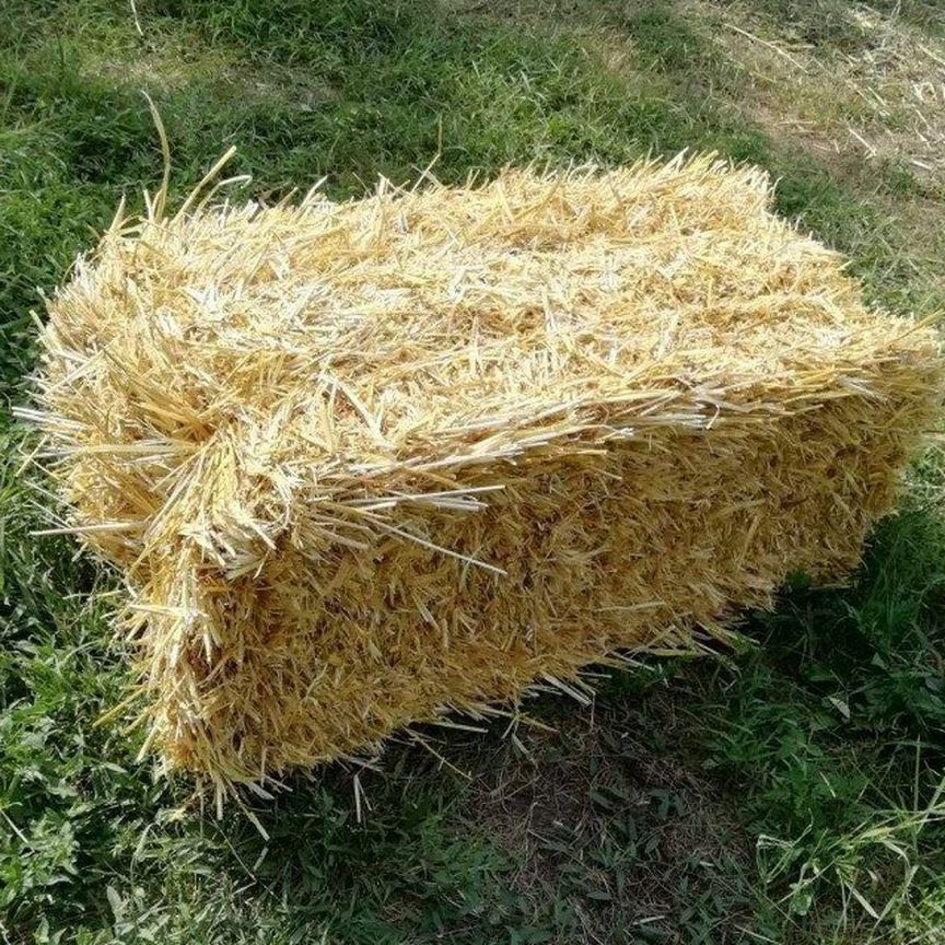 Солома в тюках