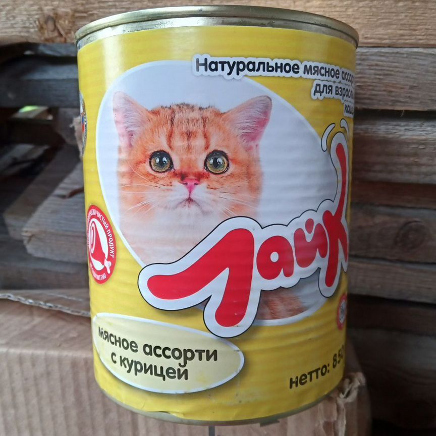 Корм для кошек
